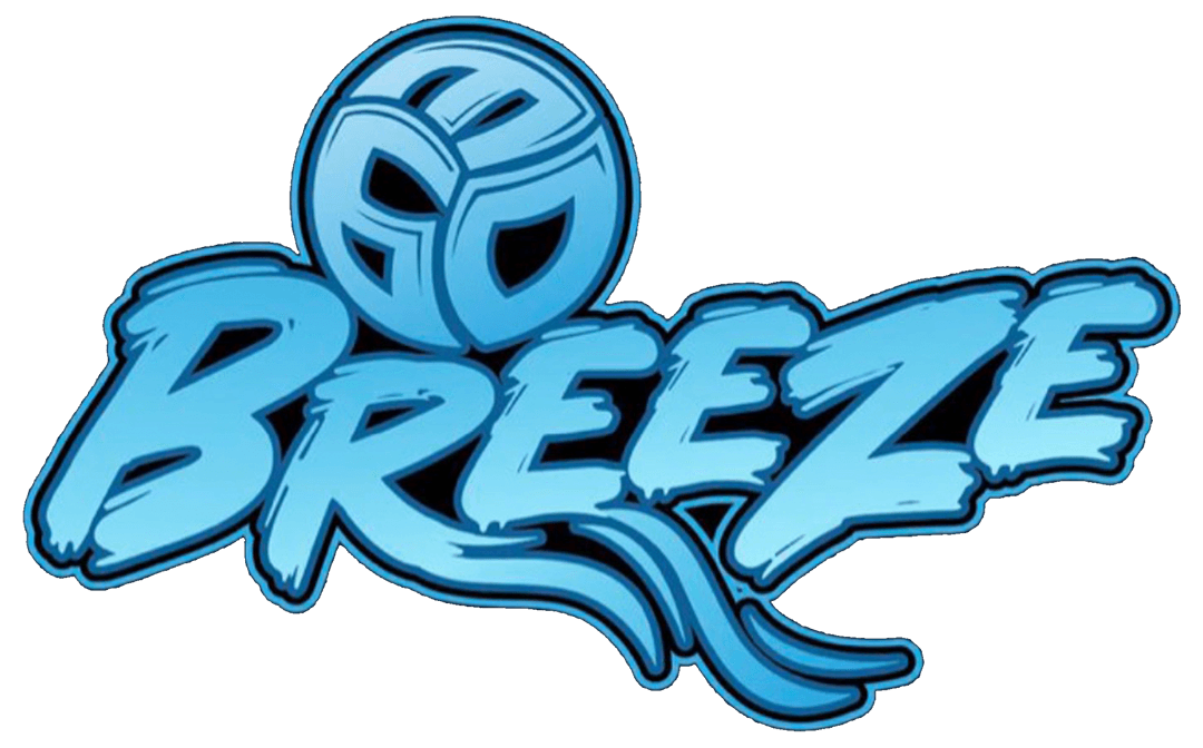 Volleyball League of America